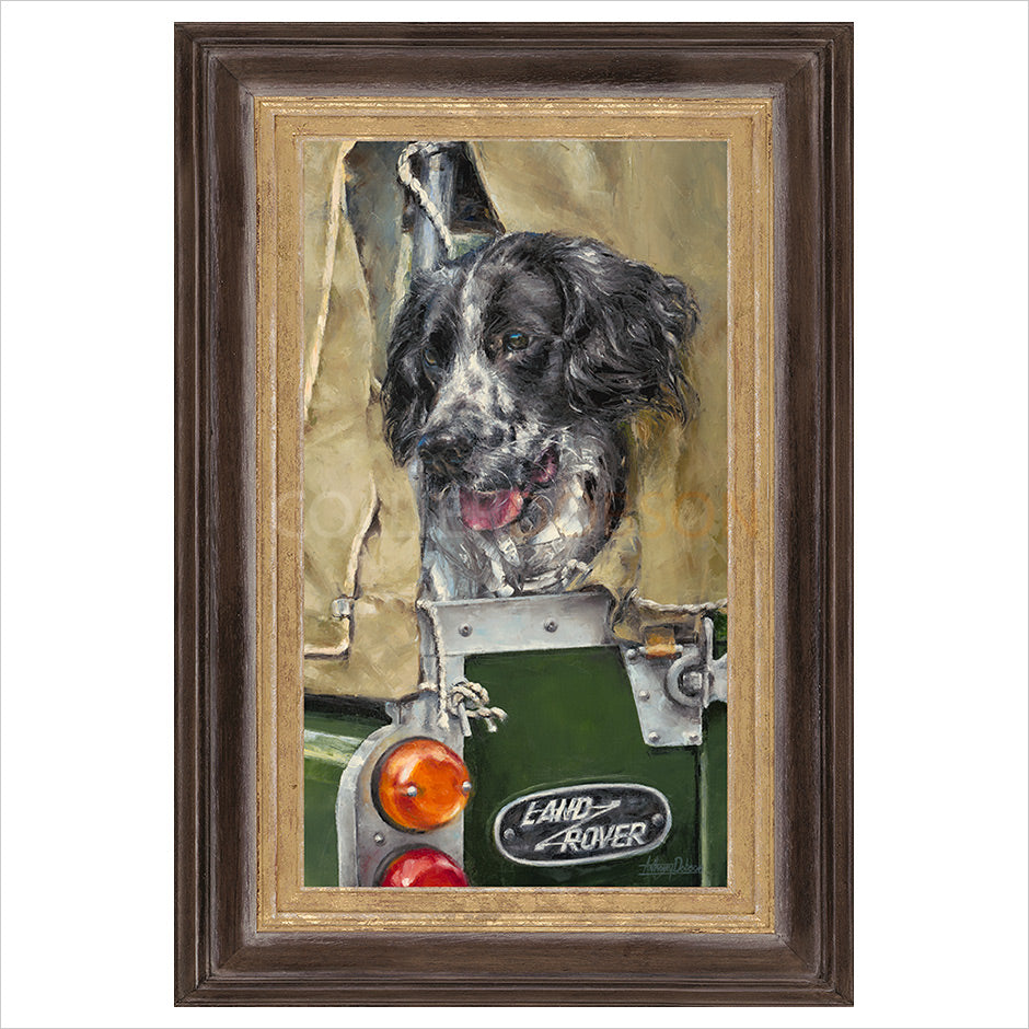 Anthony Dobson, artist of wildlife and domestic animals – Collier & Dobson