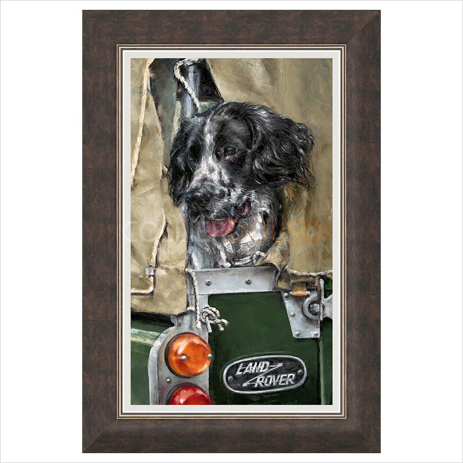 Anthony Dobson, artist of wildlife and domestic animals – Collier & Dobson