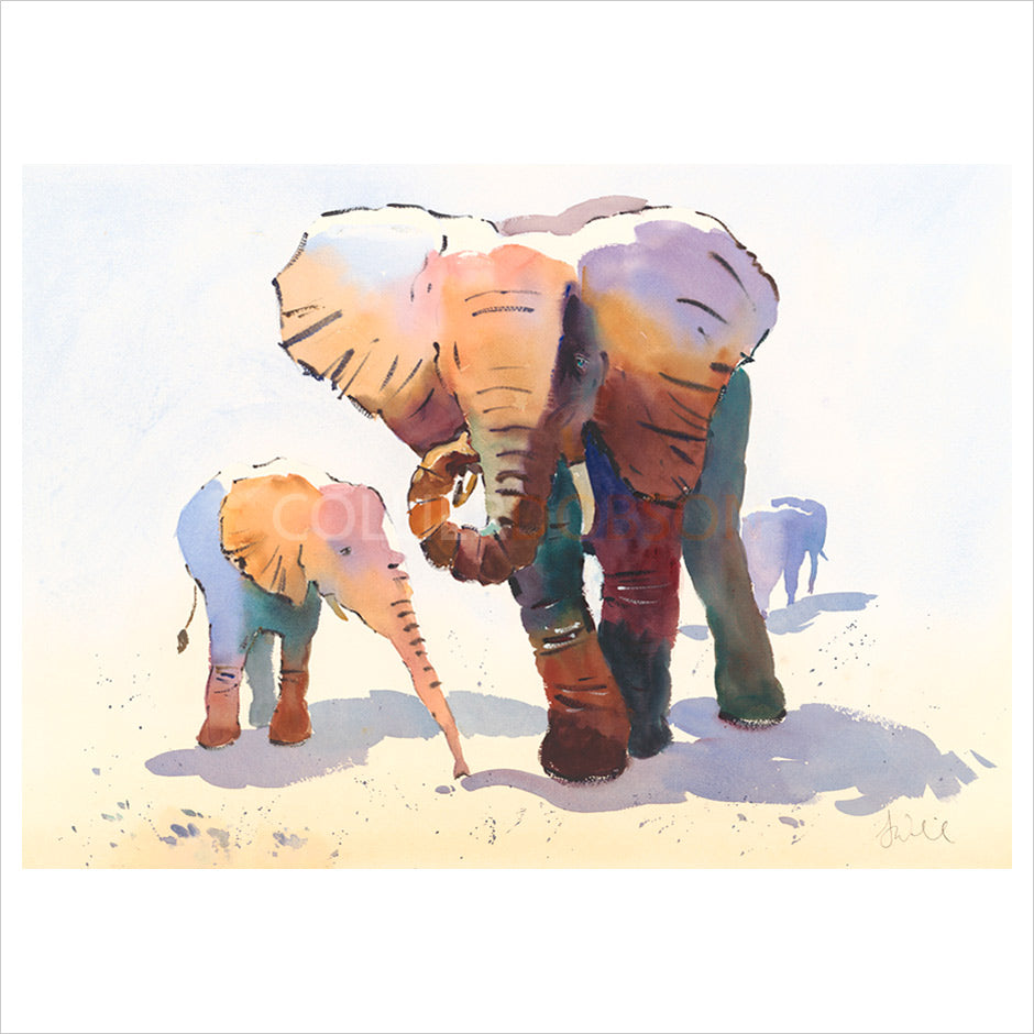 Jake Winkle, watercolour artist of animals and wildlife – Collier & Dobson