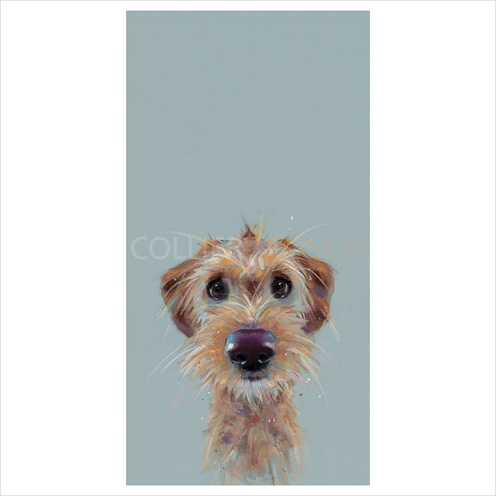 Nicky Litchfield | Artist and illustrator of charming animals – Collier ...