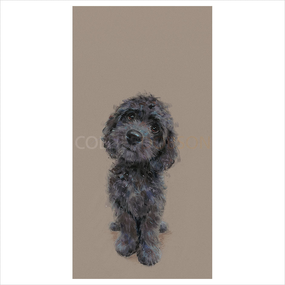 Nicky Litchfield | Artist and illustrator of charming animals – Collier ...