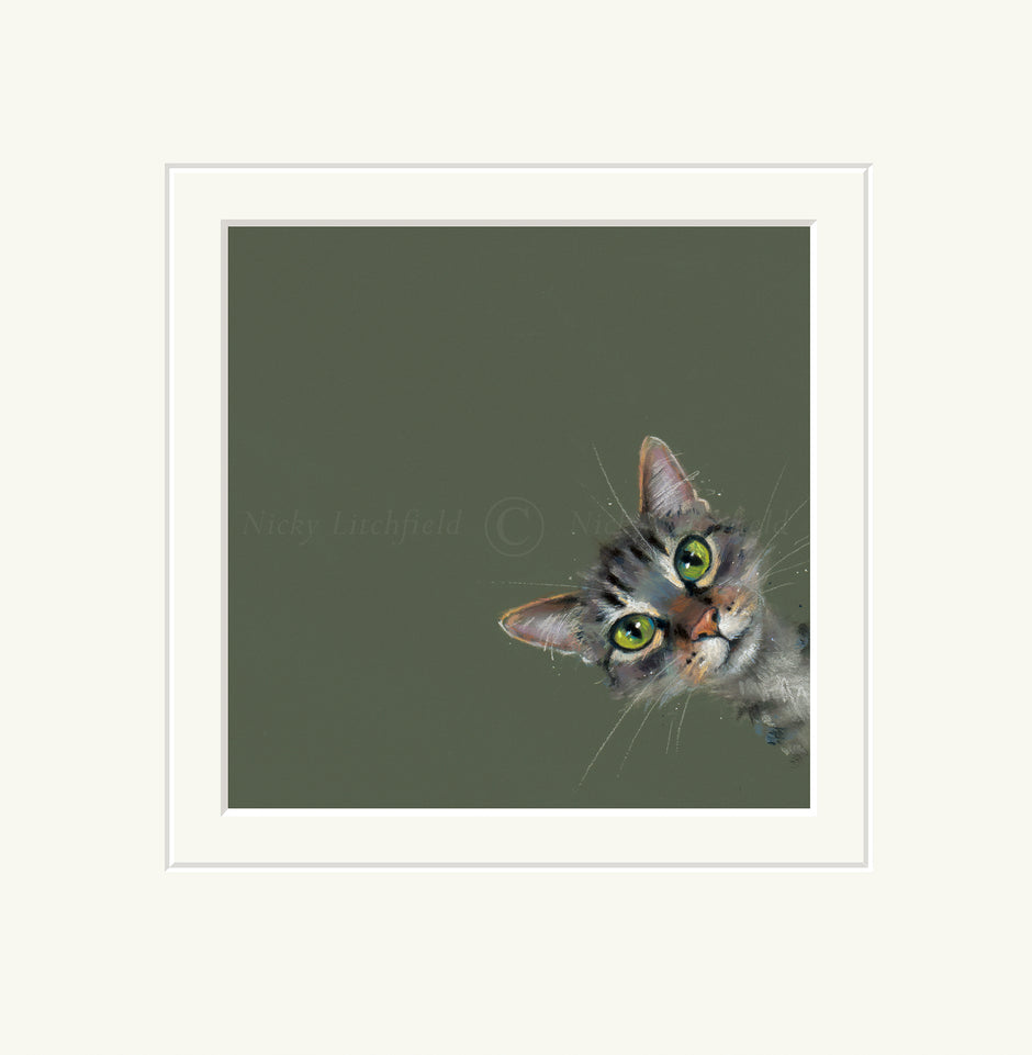 Nicky Litchfield | Artist and illustrator of charming animals – Collier ...