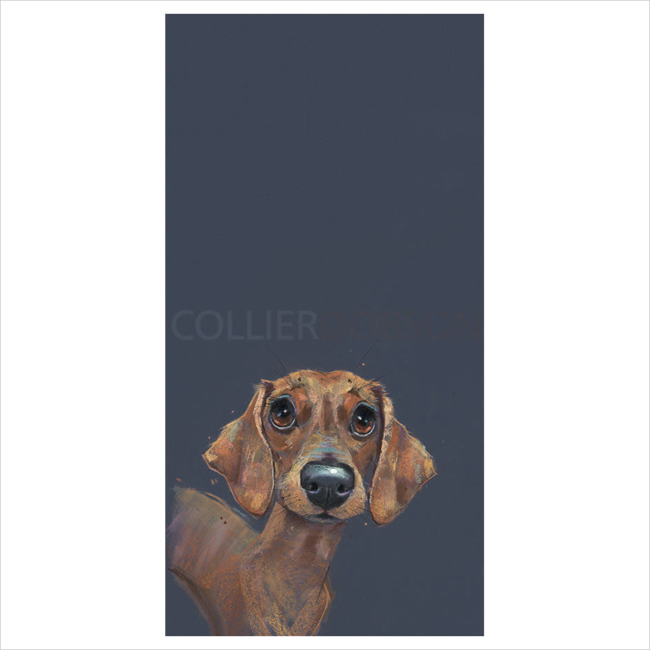 Nicky Litchfield | Artist and illustrator of charming animals – Collier ...