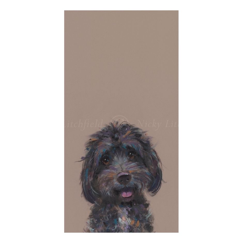 Nicky Litchfield | Artist and illustrator of charming animals – Collier ...