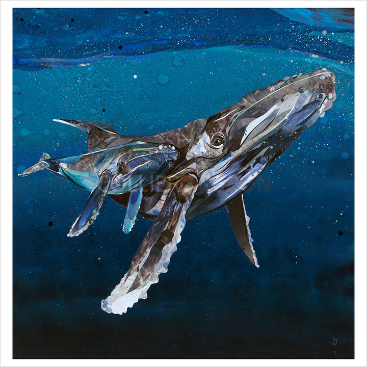 Sarah Jackson – Collier & Dobson