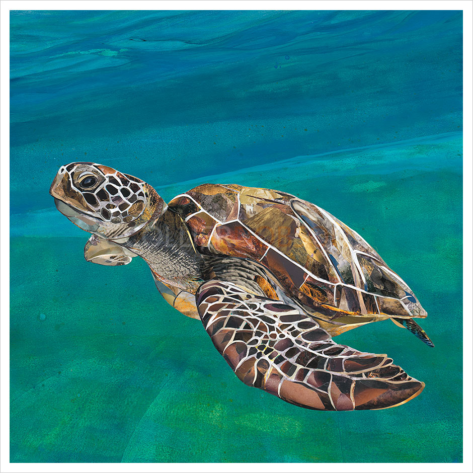 Sarah Jackson – Collier & Dobson