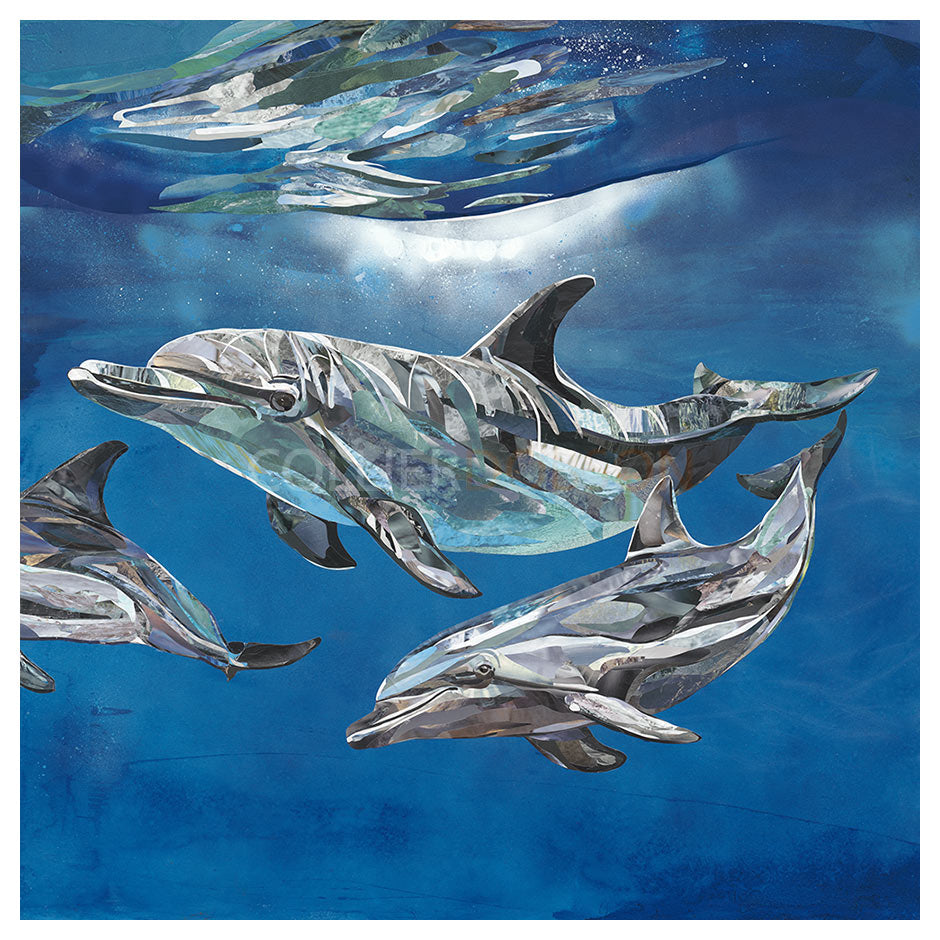 Sarah Jackson – Collier & Dobson