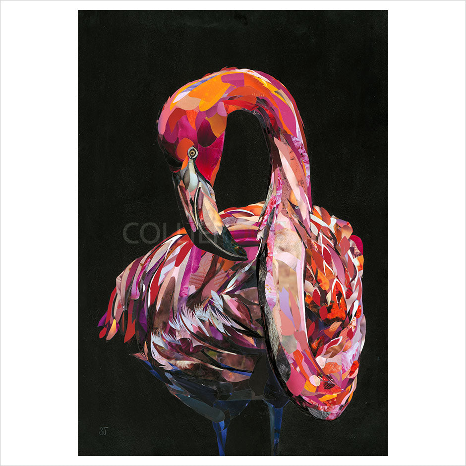 Sarah Jackson – Collier & Dobson