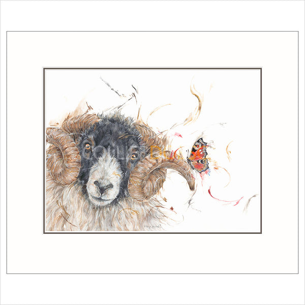 Aaminah Snowdon | Limited Edition Print | Hey Ewe! – Collier & Dobson