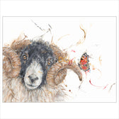 Aaminah Snowdon | Limited Edition Print | Hey Ewe! – Collier & Dobson