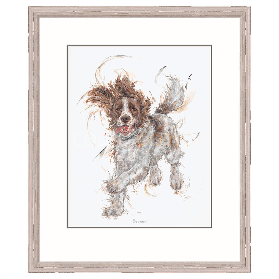 Collection of Aaminah Snowdon, British wildlife and animal artist ...