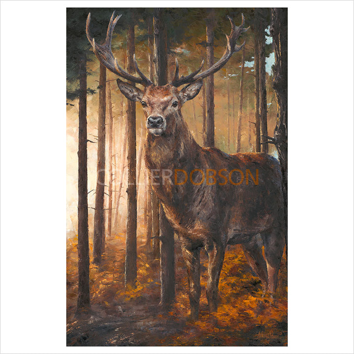 Anthony Dobson, artist of wildlife and domestic animals – tagged "All ...