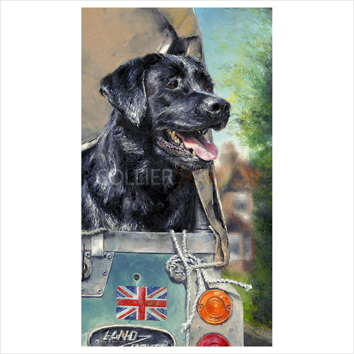 Anthony Dobson, artist of wildlife and domestic animals – Collier & Dobson