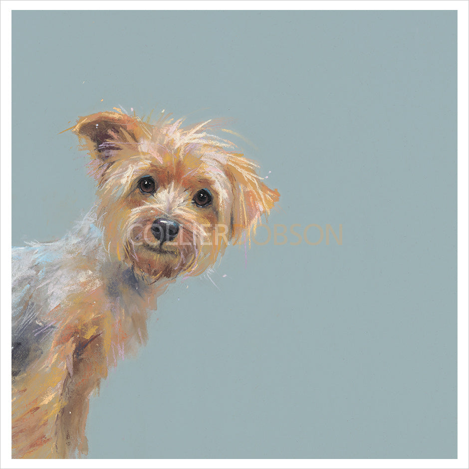 Nicky Litchfield | Artist and illustrator of charming animals – Page 2 ...
